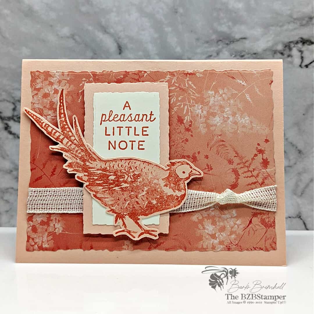 DIY Card Idea using Painted Pheasant Stamp Set - Barb Brimhall, The ...