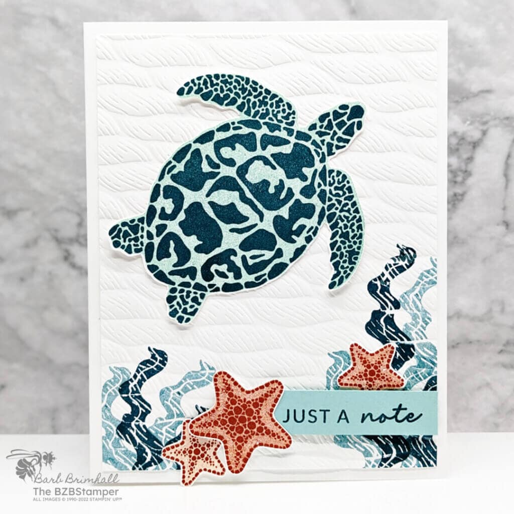 Get Creative: The Sea Turtle Stamp Set by Stampin' Up! - Barb Brimhall ...