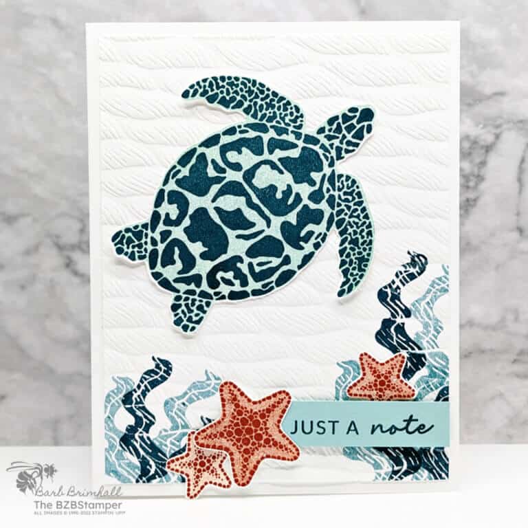 Get Creative: The Sea Turtle Stamp Set by Stampin' Up! - Barb Brimhall ...