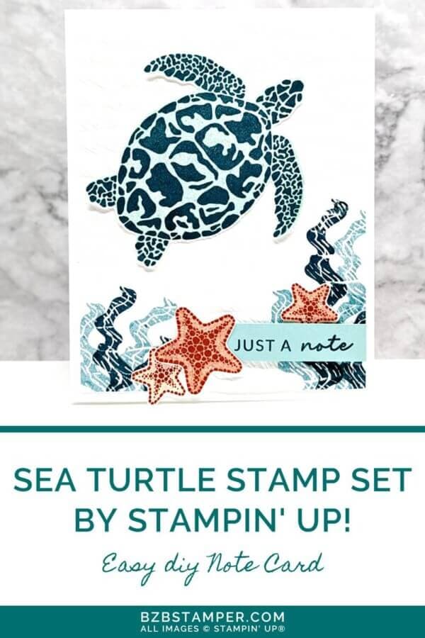 Get Creative: The Sea Turtle Stamp Set by Stampin' Up! - Barb Brimhall ...