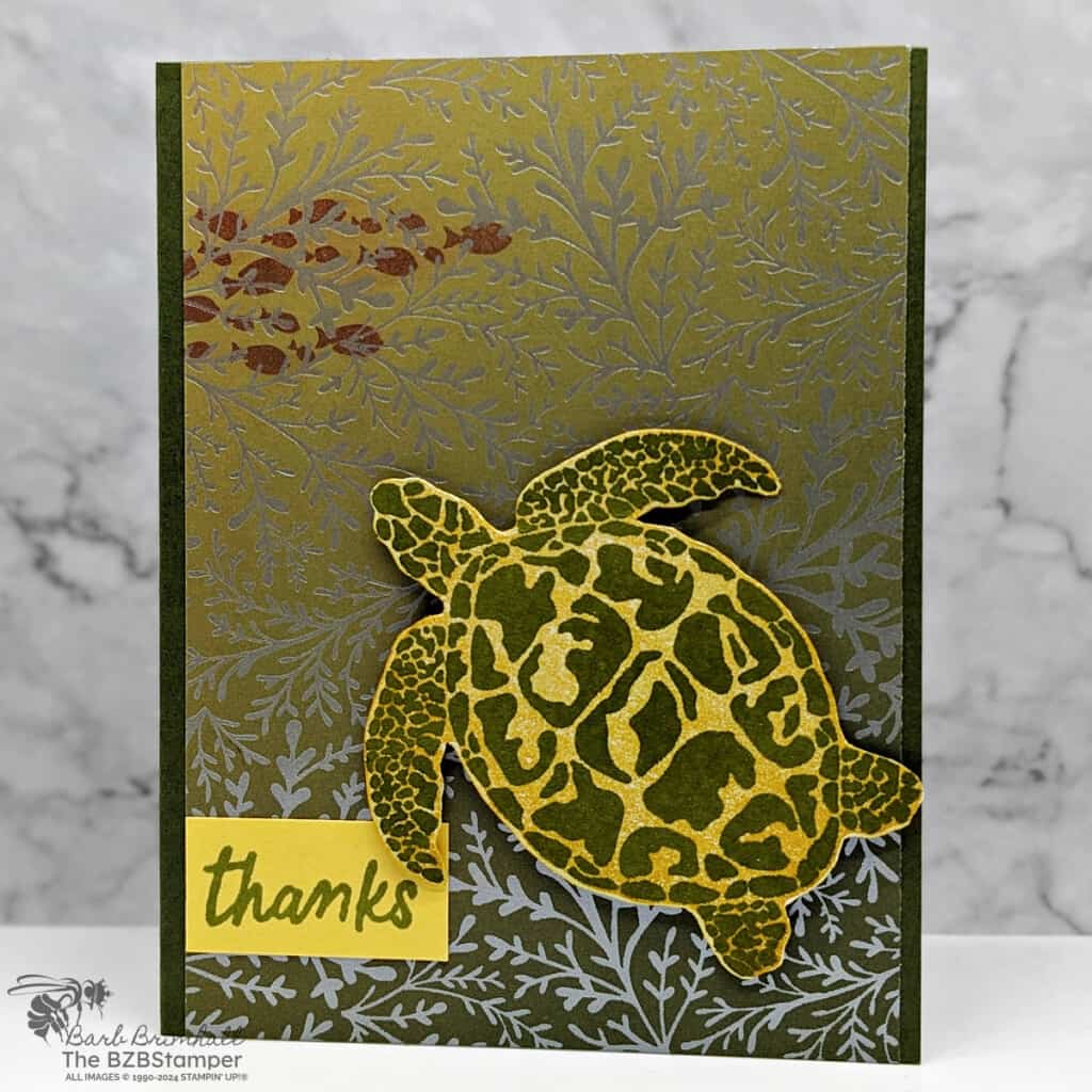 Dive into Crafting with the Sea Turtle Stamp Set - Barb Brimhall, The ...