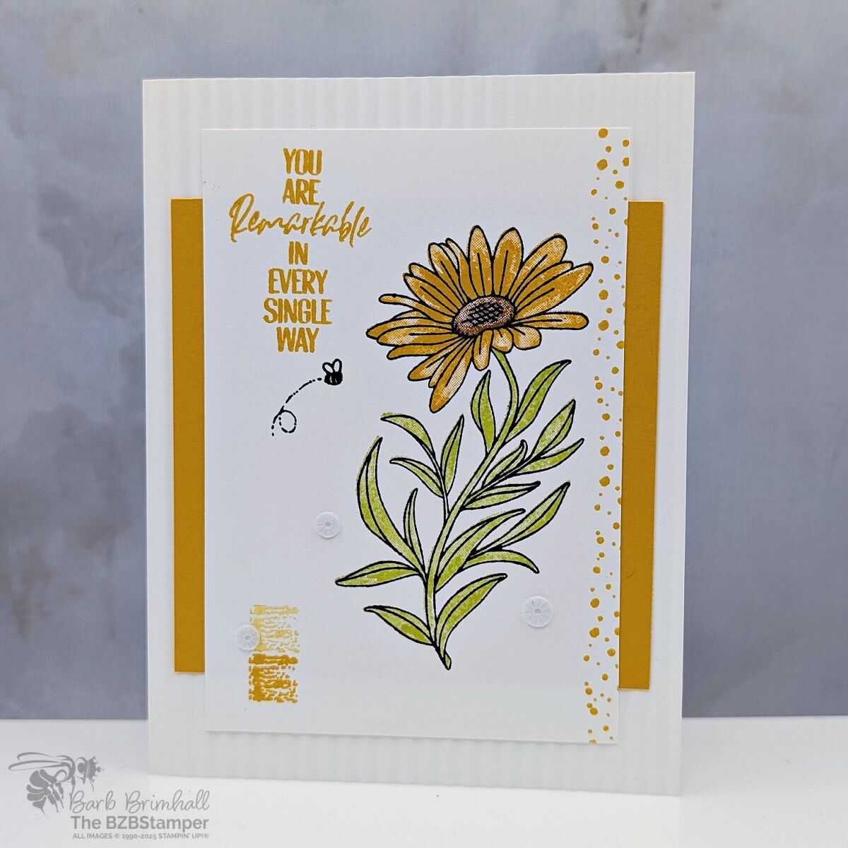 3 Cards using the You Are Remarkable Stamp Set - Barb Brimhall, The ...