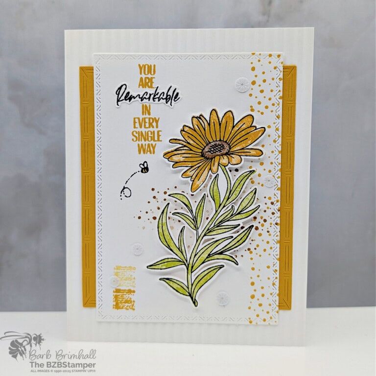 3 Cards using the You Are Remarkable Stamp Set - Barb Brimhall, The ...